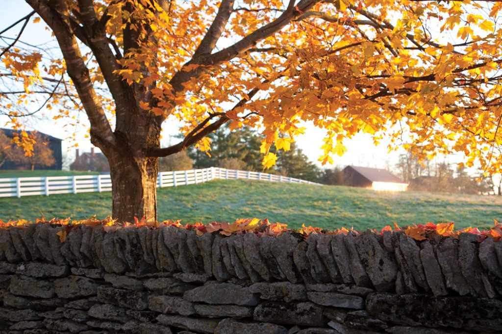 Shaker Village of Pleasant Hill from Victoria magazine